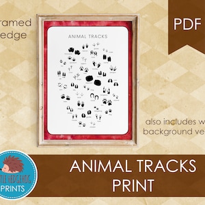 Animal Tracks Learning Set || Montessori-inspired Homeschool Preschool ...