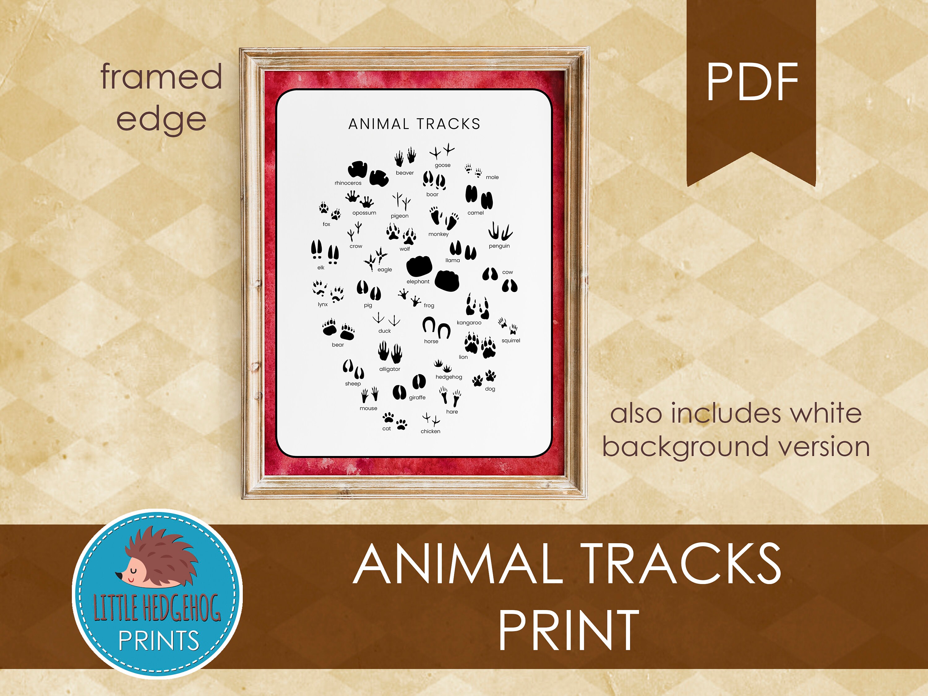 Animal Tracks Learning Set || Montessori-inspired Homeschool Preschool ...