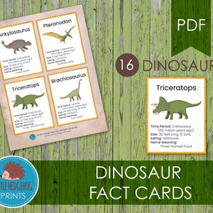 Dinosaur Learning Set || Montessori-inspired Homeschool Preschool ...