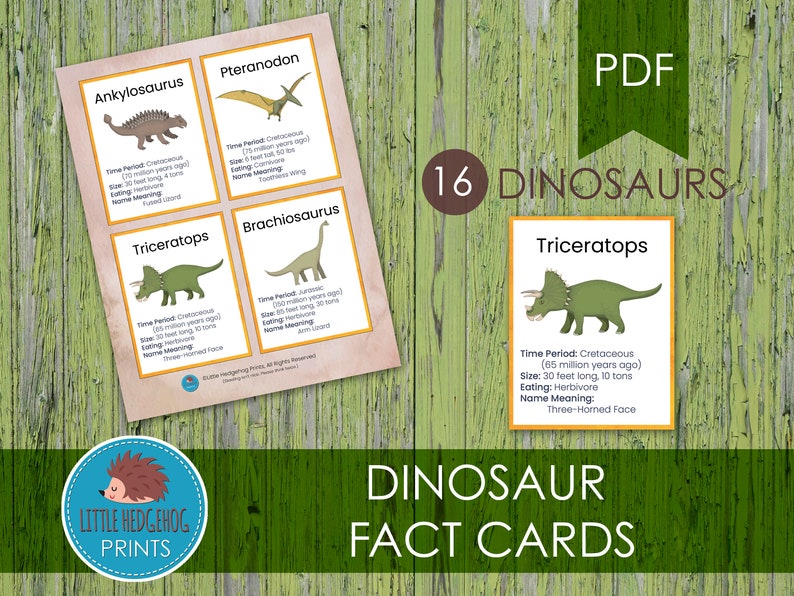 Dinosaur Learning Set Montessori-inspired Homeschool | Etsy
