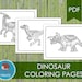 Dinosaur Learning Set || Montessori-inspired Homeschool Preschool ...