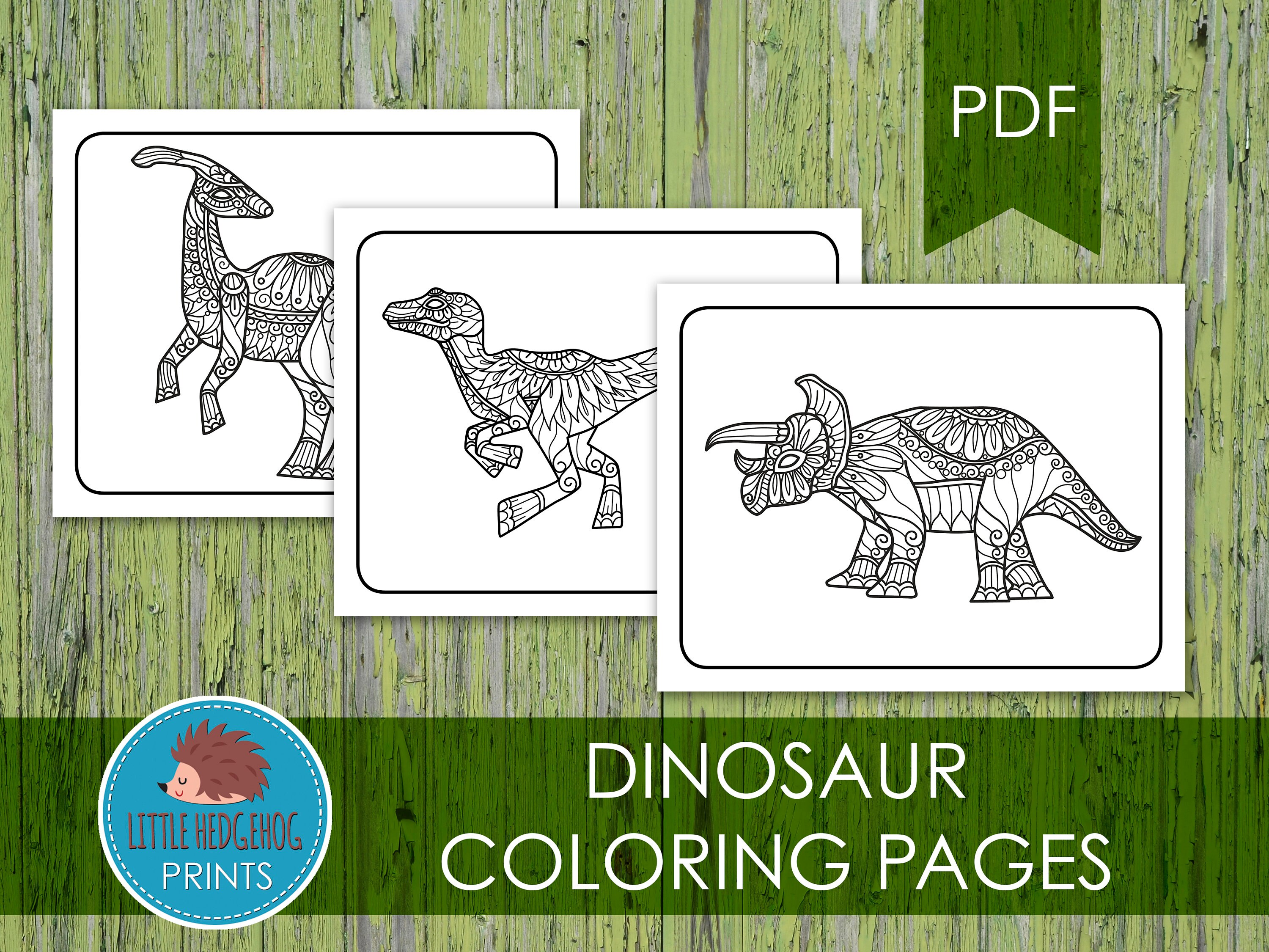 Dinosaur Learning Set Montessori-inspired Homeschool - Etsy
