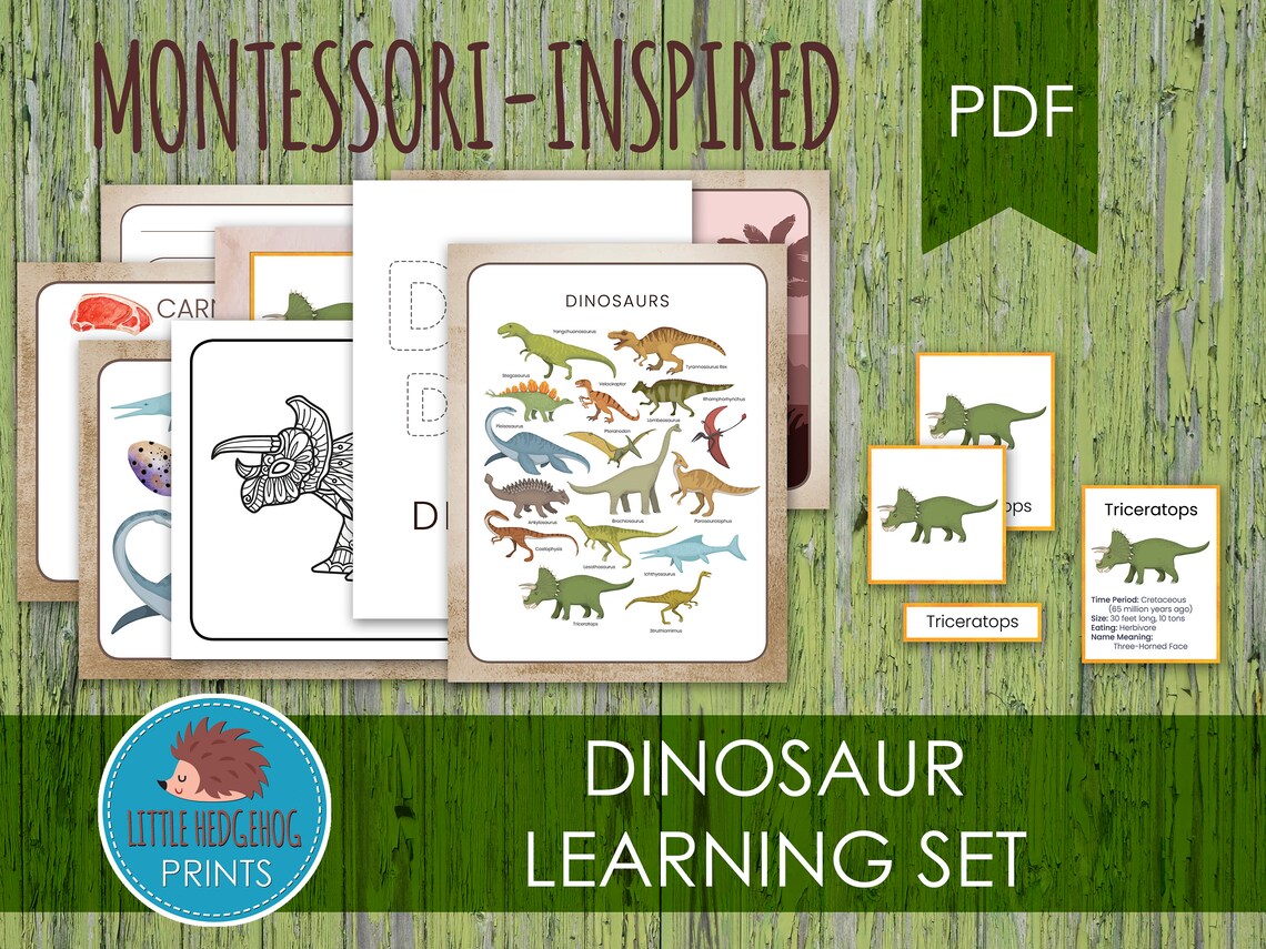 Dinosaur Learning Set Montessori-inspired Homeschool | Etsy