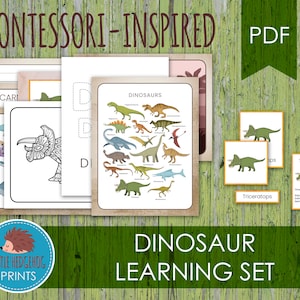 Dinosaur Learning Set || Montessori-inspired Homeschool Preschool ...