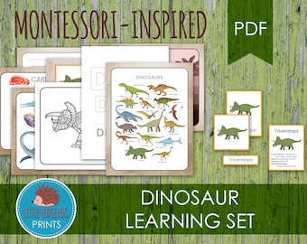 Tangram Puzzle Set || Montessori-inspired Homeschool Preschool ...