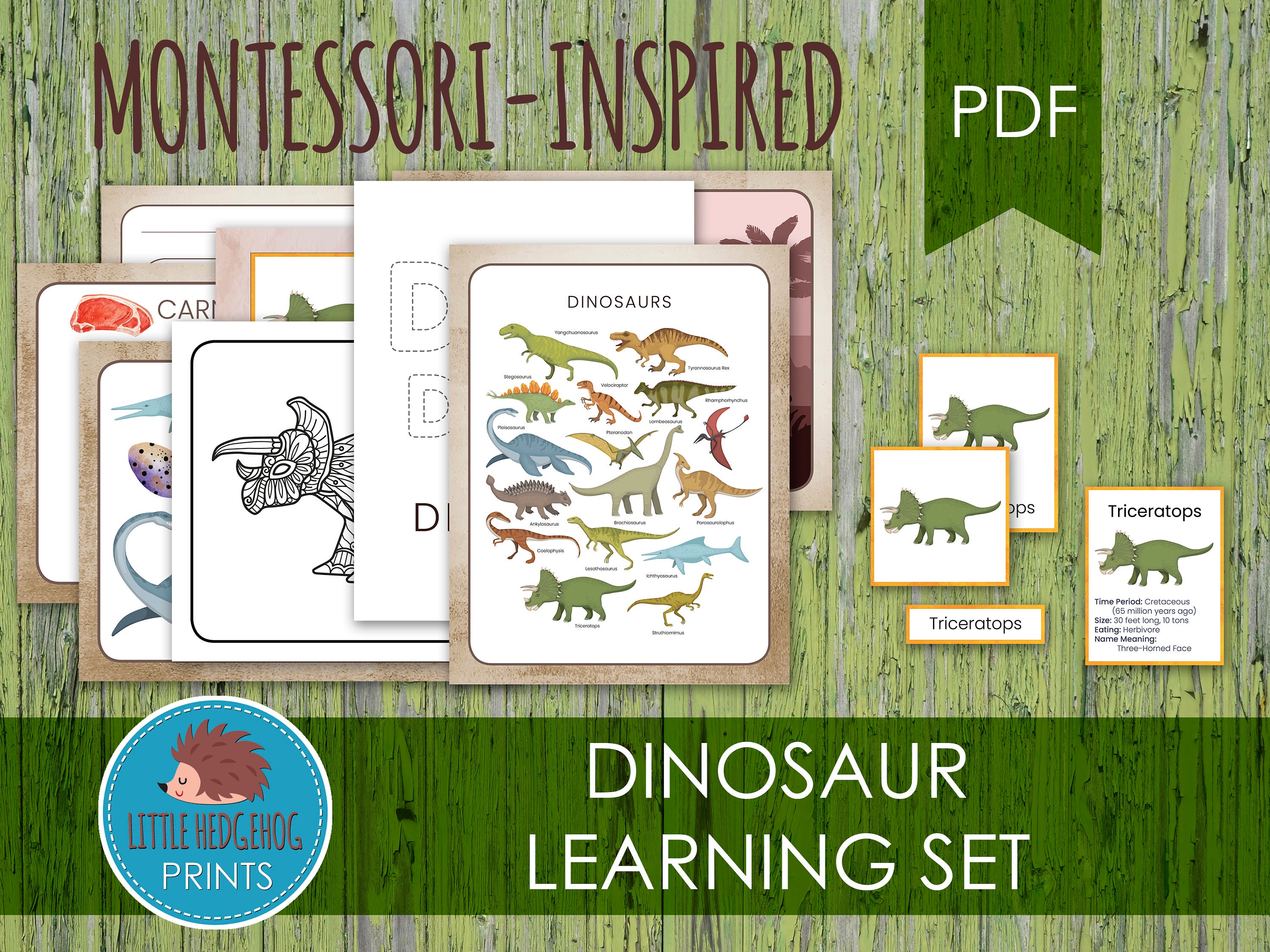 Dinosaur Learning Set || Montessori-inspired Homeschool Preschool ...