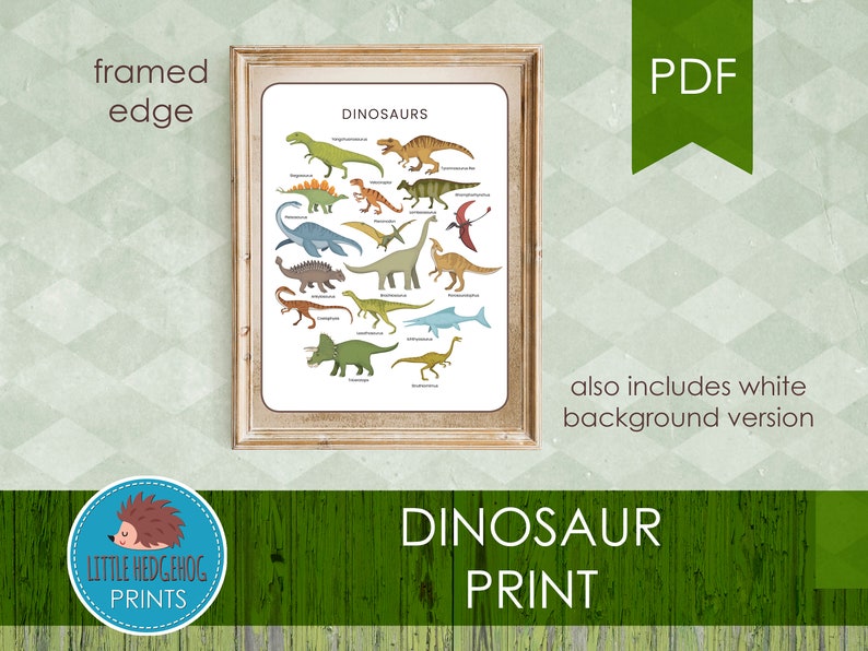Dinosaur Learning Set || Montessori-inspired Homeschool Preschool ...