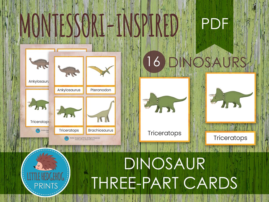 Dinosaur Learning Set Montessori-inspired Homeschool - Etsy