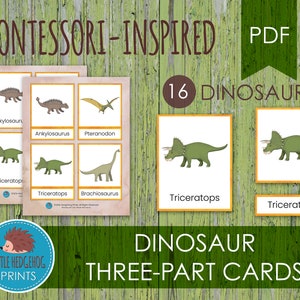 Dinosaur Learning Set || Montessori-inspired Homeschool Preschool ...