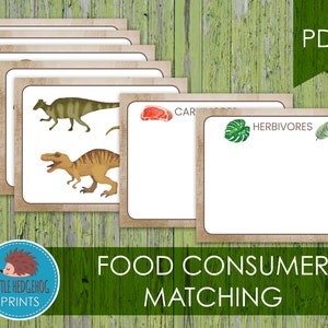 Dinosaur Learning Set || Montessori-inspired Homeschool Preschool ...