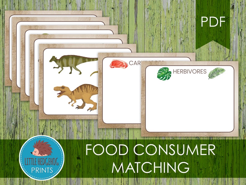 Dinosaur Learning Set || Montessori-inspired Homeschool Preschool ...