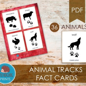Animal Tracks Learning Set || Montessori-inspired Homeschool Preschool ...