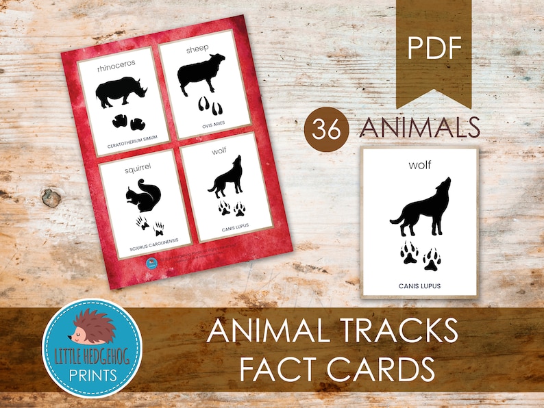 Animal Tracks Learning Set Montessori-inspired Homeschool Preschool ...