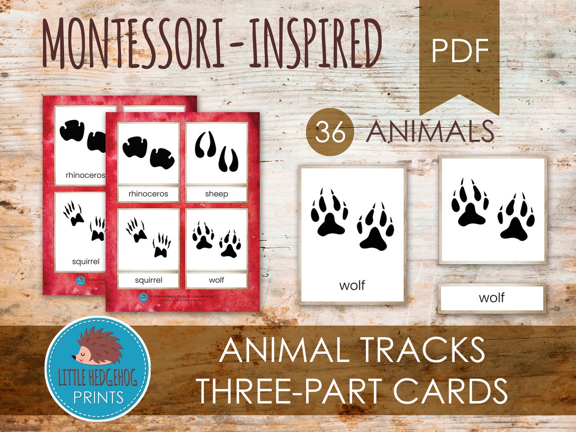 Animal Tracks Learning Set Montessori-inspired Homeschool Preschool ...