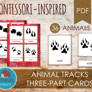 Animal Tracks Learning Set || Montessori-inspired Homeschool Preschool ...
