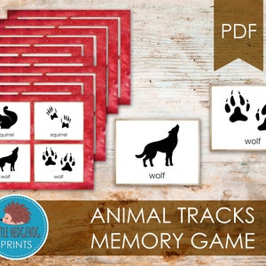 Animal Tracks Learning Set || Montessori-inspired Homeschool Preschool ...