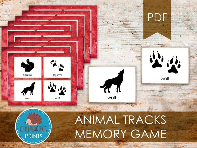 Animal Tracks Learning Set Montessori-inspired Homeschool Preschool ...