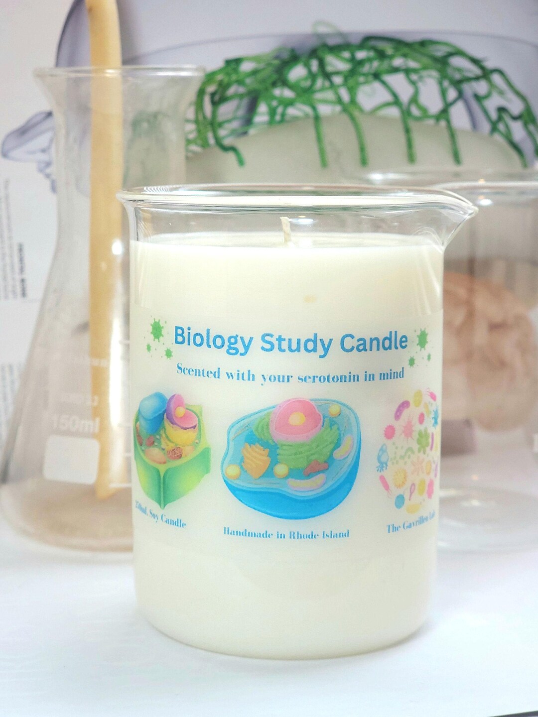 The Biology Study Candle Color Changing Soy Candle Choose Your Scent ...