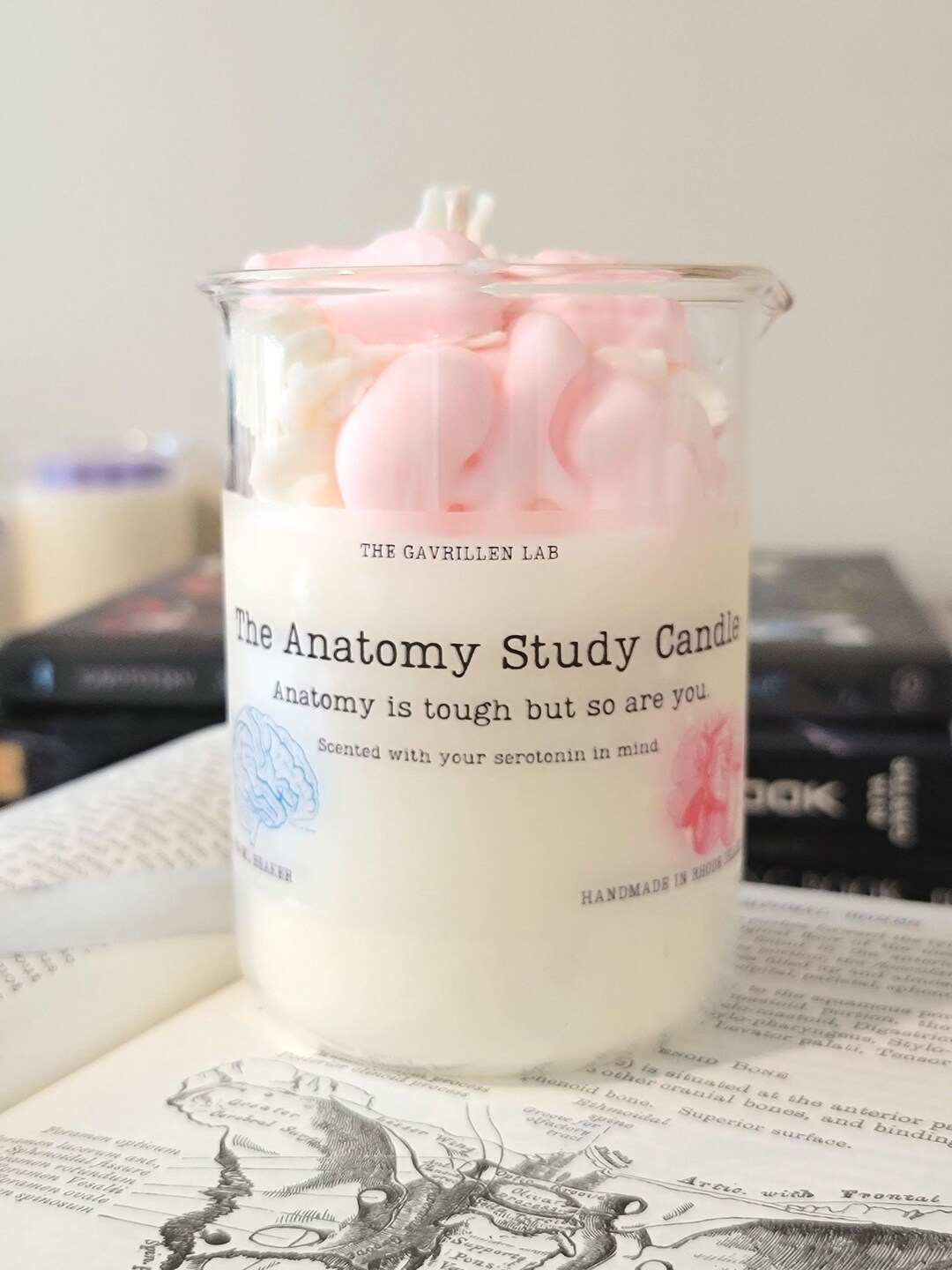 The Anatomy Study Candle Medical Student Gift Artisan Soy Candle ...