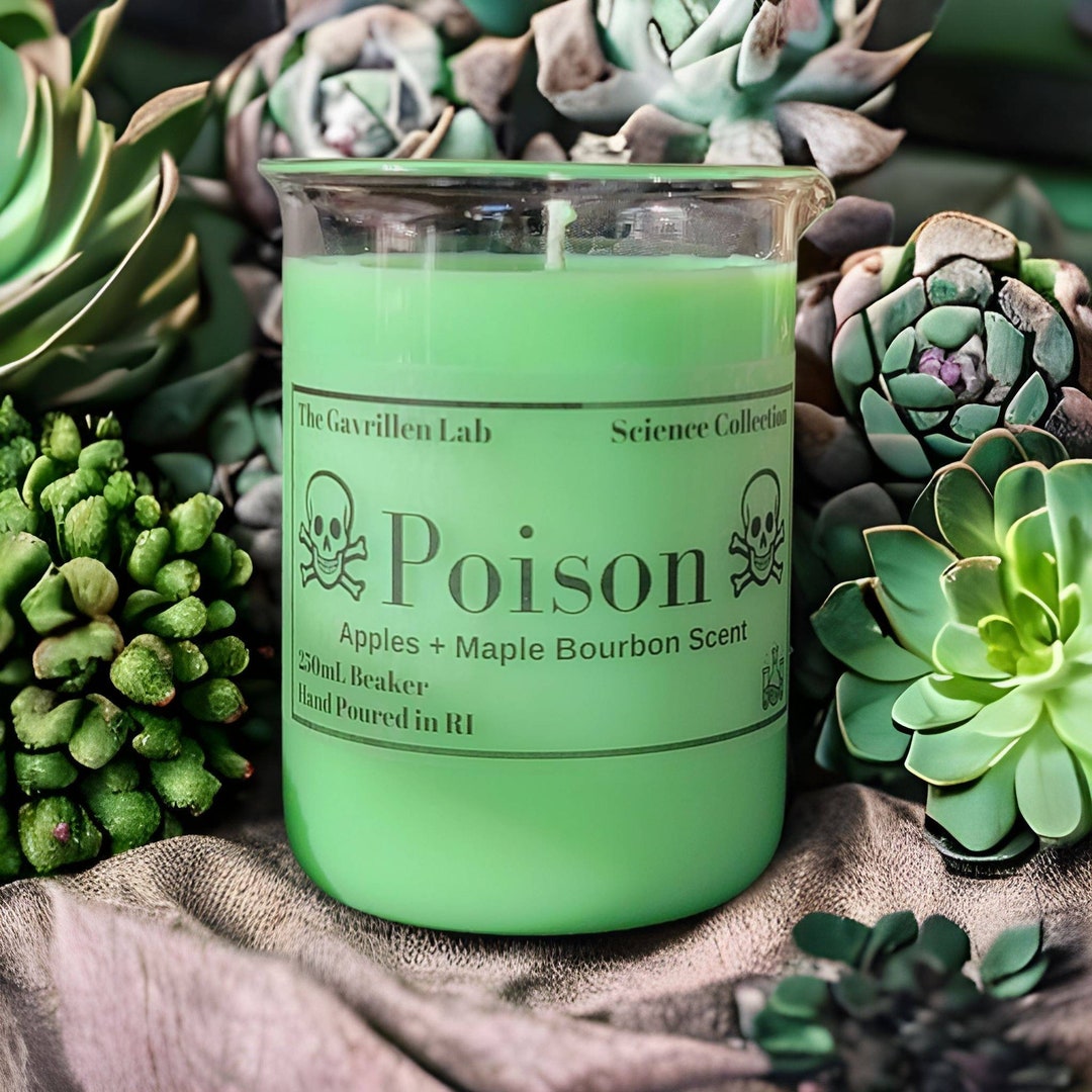 Poison Apple and Maple Bourbon Soy Candle Dark Aesthetic Poison Apple ...