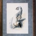 ALMOST FREE Vintage Stoat Cross Stitch Pattern PDF Animal Embroidery - Etsy