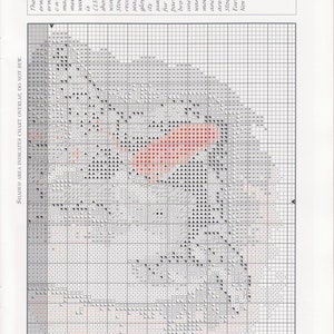 ALMOST FREE Vintage Stoat Cross Stitch Pattern PDF Animal Embroidery - Etsy