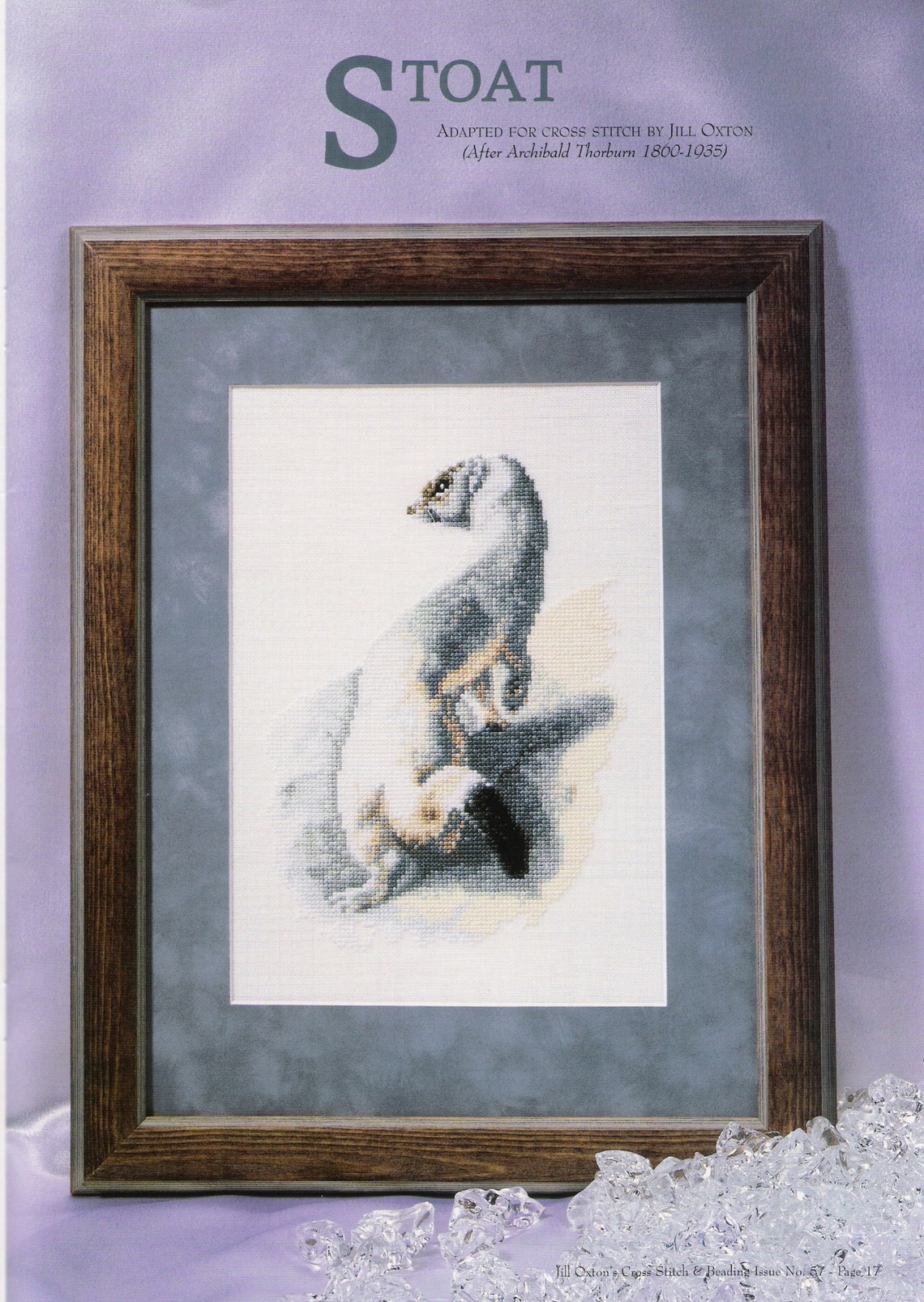 ALMOST FREE Vintage Stoat Cross Stitch Pattern PDF Animal | Etsy
