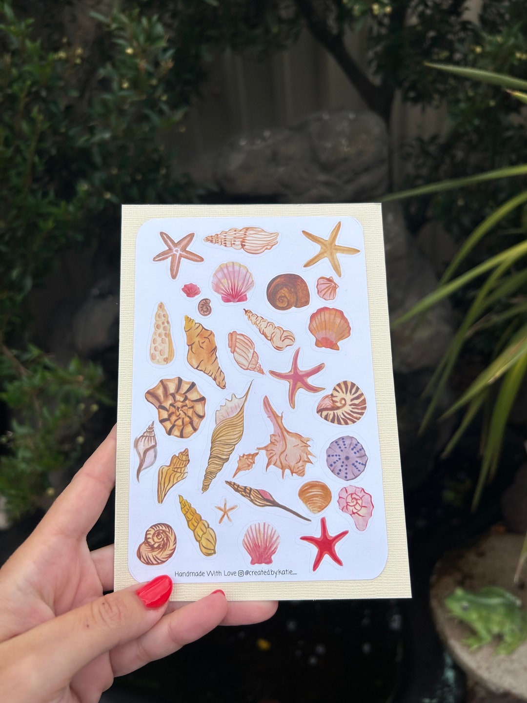 Sea Shell Sticker Sheet - Etsy