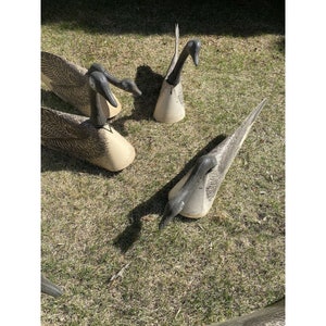 8 Vintage Goose Hunting Decoy Made by Boxcraft Containers, Cardboard ...