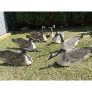 8 Vintage Goose Hunting Decoy Made by Boxcraft Containers, Cardboard ...