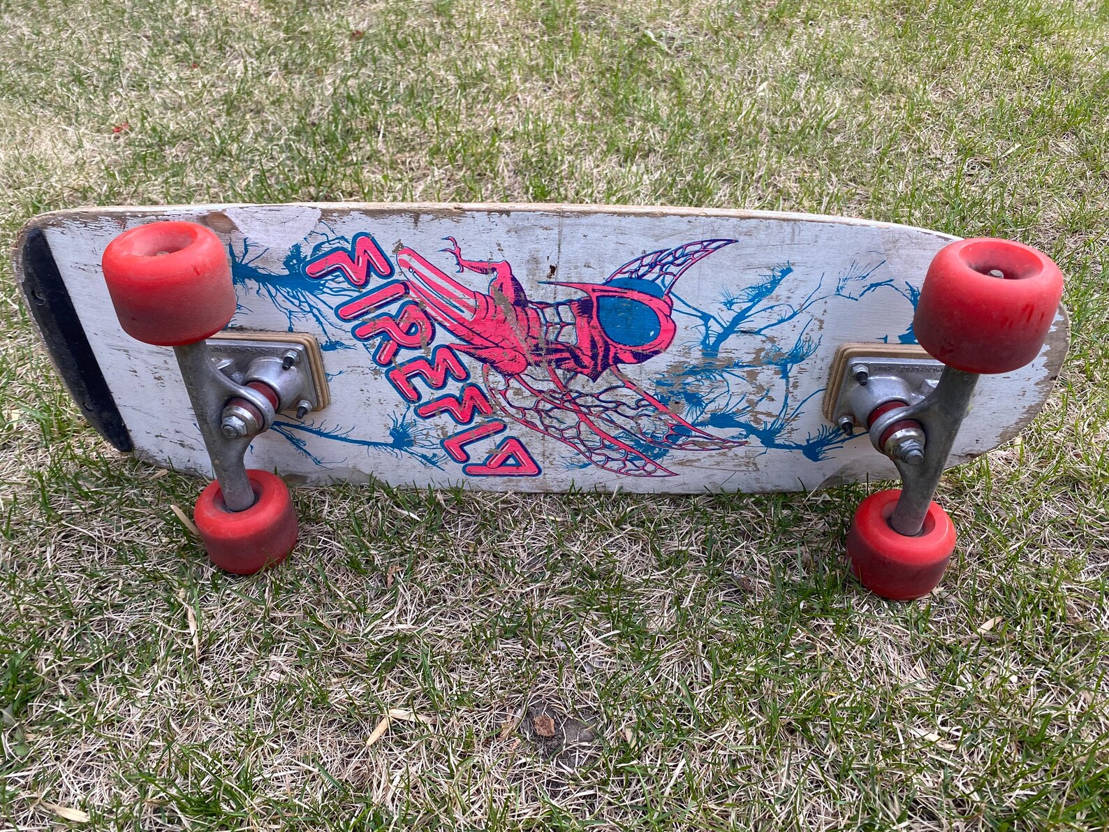 Vintage 1980s Dominion Firefly Skateboard Deck – Canadian MCM, Well ...