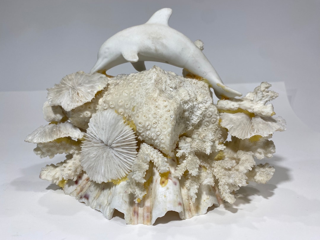 Seashell Dolphin Art. Coral Table Top Display, Nautical Costal Ocean ...