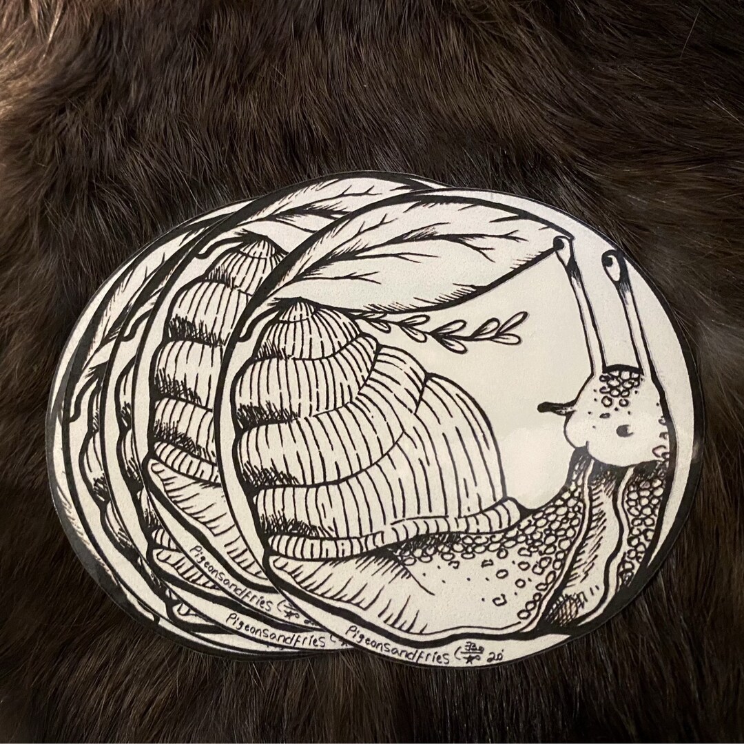 Snail Sticker - Etsy