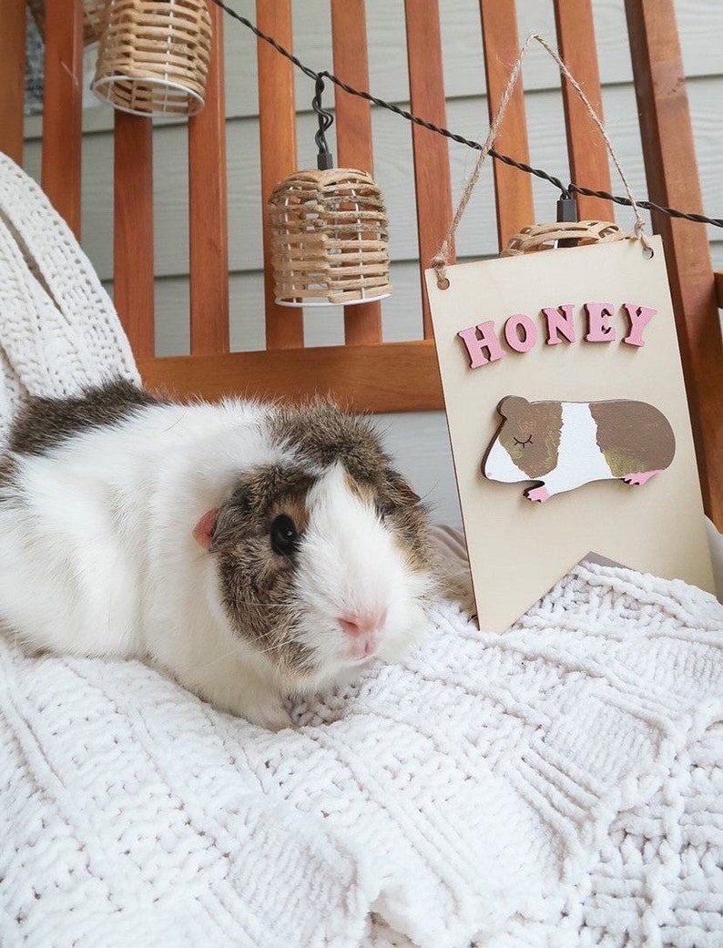 Custom pet guinea pig wooden name sign | Etsy