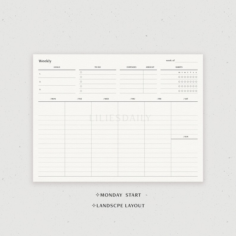 Weekly Overview Digital Planner Template for Goodnotes Notability iPad ...
