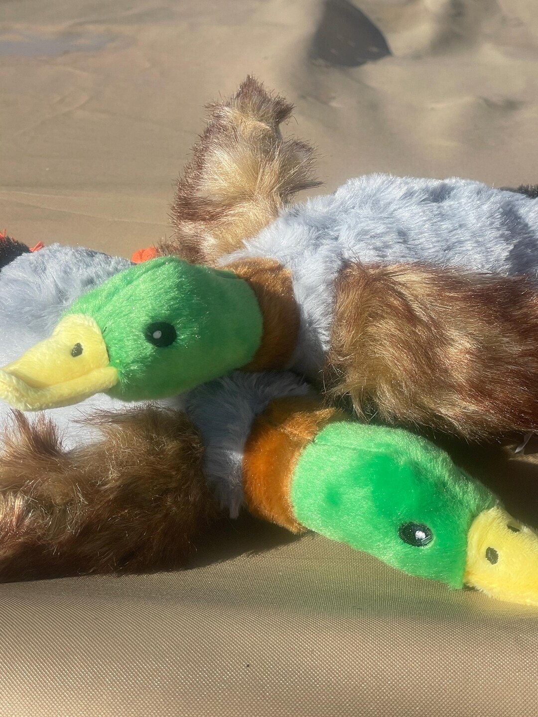 Duck Dog Toy / 2 Pack / Squeaker & Crinkle / Perfect for Medium Chewers ...