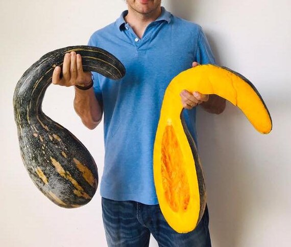 Rare Squash Seeds Heirloom - Etsy