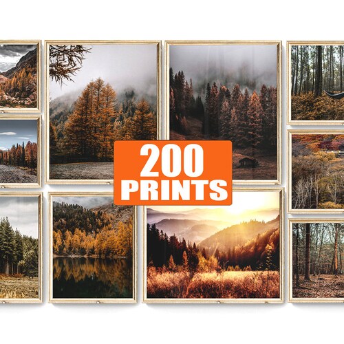 Fall Harvest Print Set of 6 Autumn Farmhouse Printable Art - Etsy