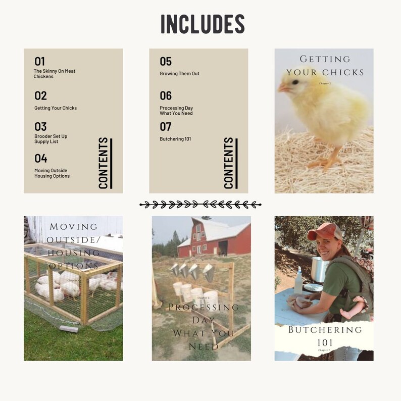 The Ultimate 101 Guide to Meat Chickens / Meat Chicken How to - Etsy
