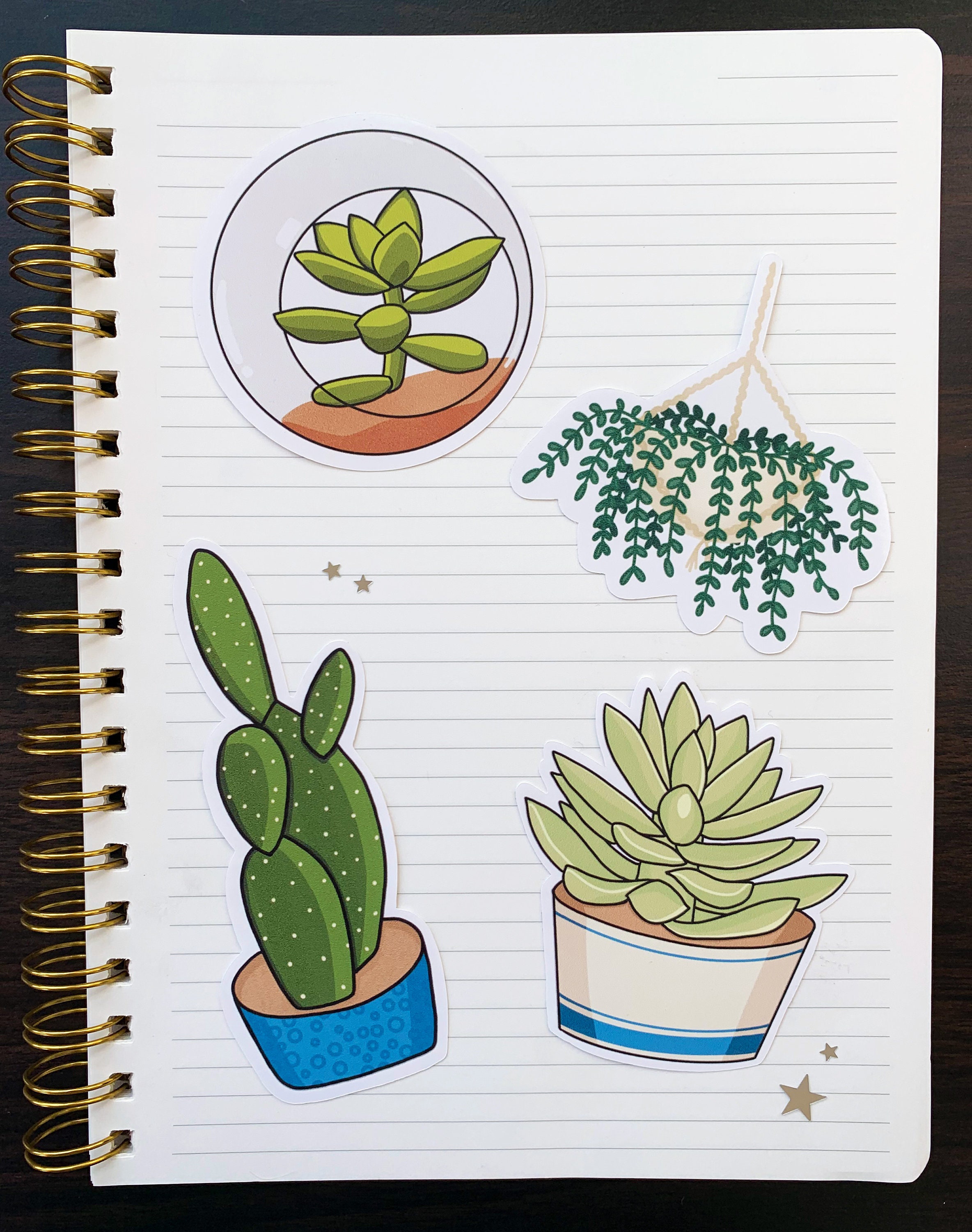 Succulent Die Cut Stickers Planner & Bullet Journal Stickers - Etsy