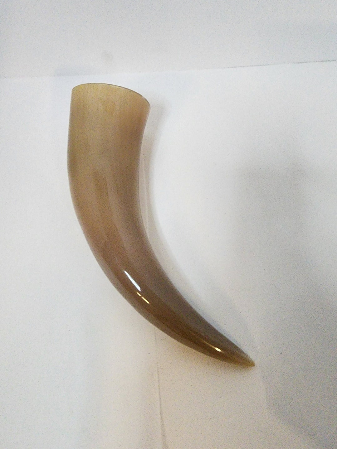 Buffalo Pirate - Medieval - Viking Drinking Horn Average 10 Inch (HR100 ...