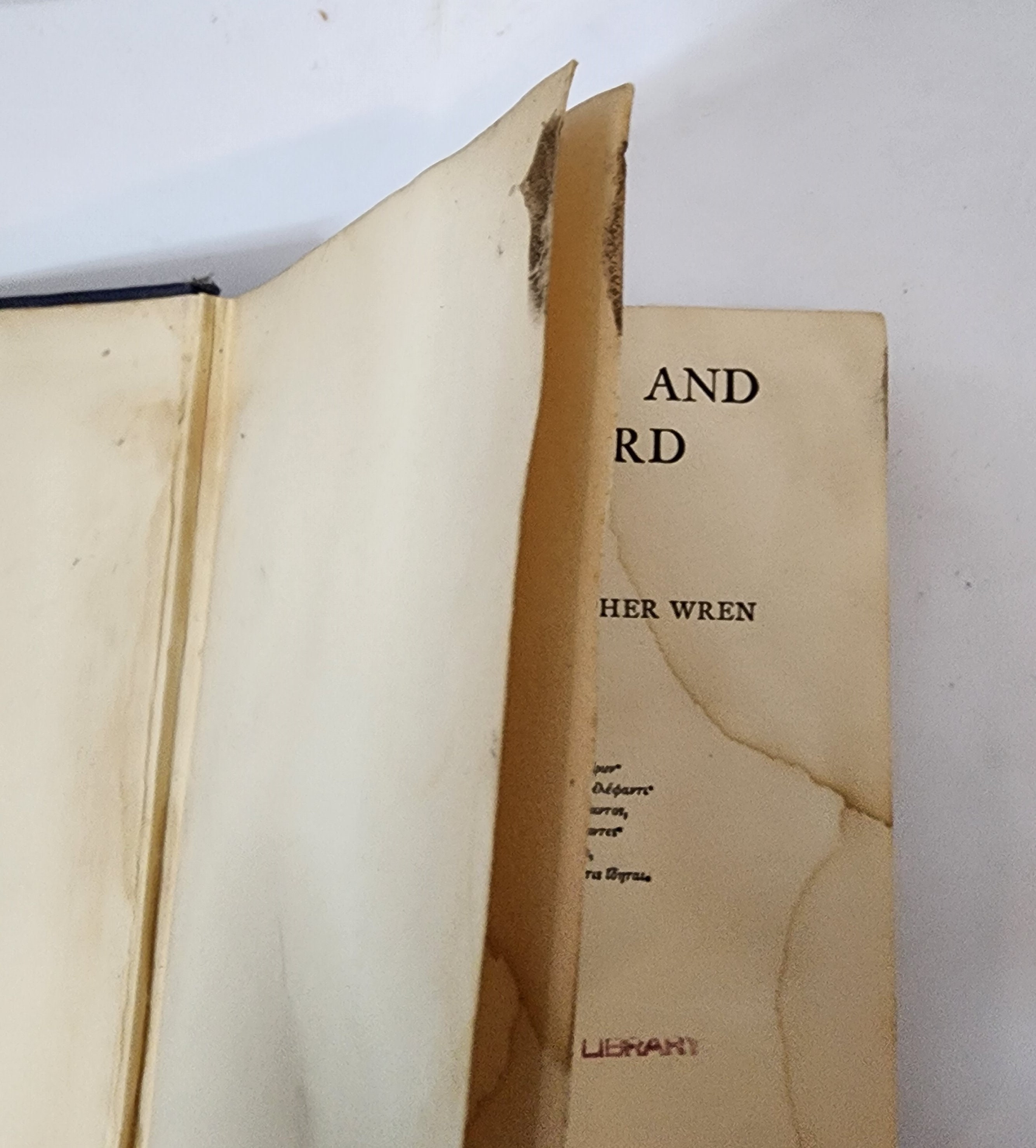 The Snake and the Sword by Percival Christopher Wren 1926 - Etsy