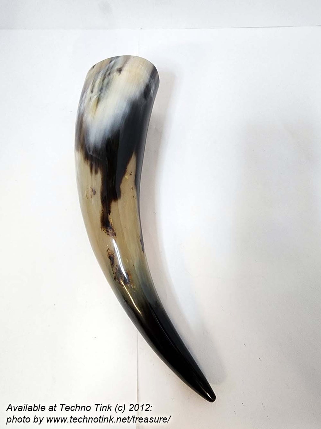 Water Buffalo Medieval/pirate/viking Drinking Horn Average 11 Inch - Etsy