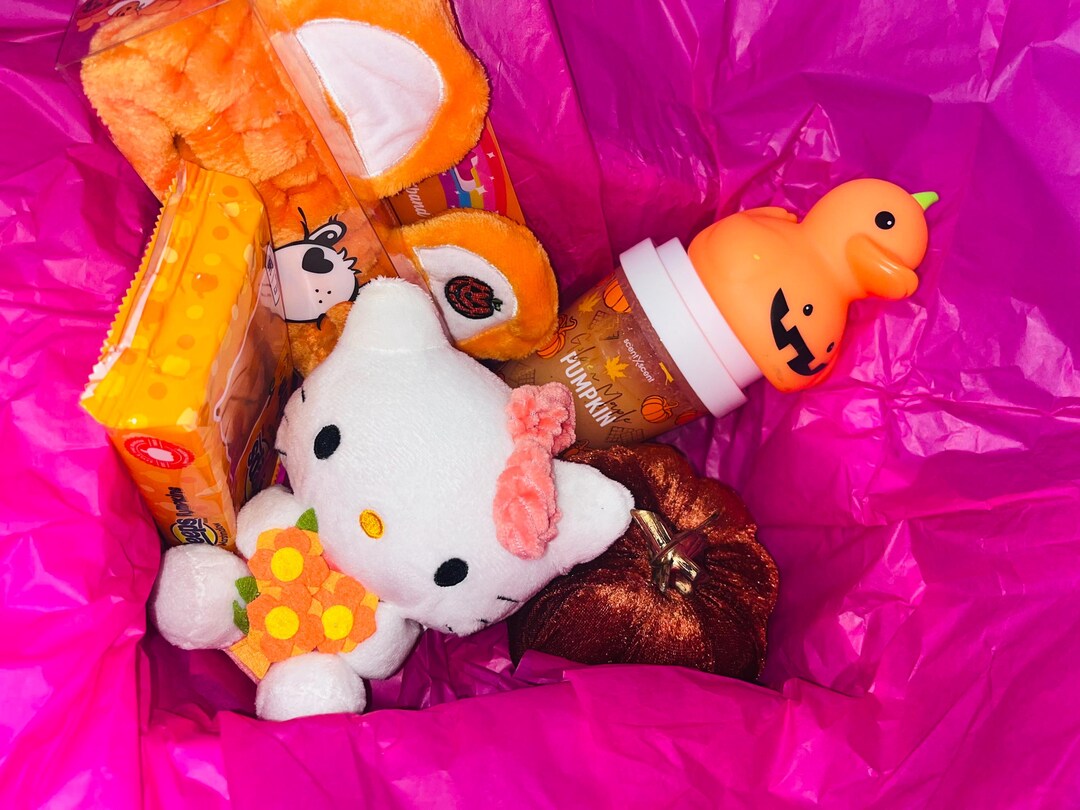 FREE SHIPPING Hello Kitty Boo Basket Fall Basket Gifts for Her Spooky ...