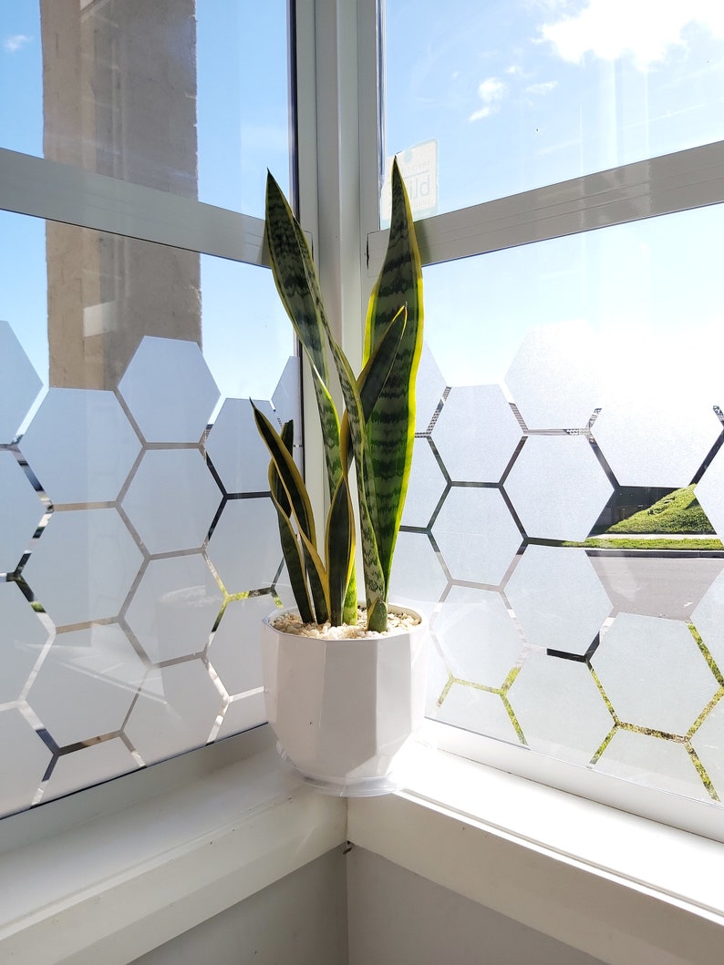 Honeycomb Frosted Window Film Hexagon Window Decal Geometric - Etsy