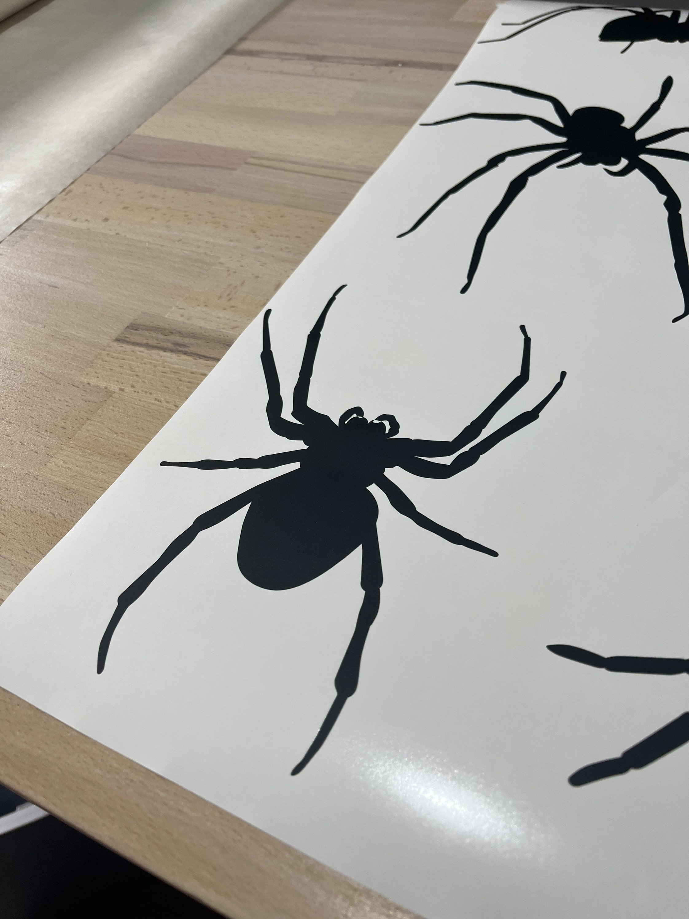Scary Spider Vinyl Decal Spooky Vinyl Decal for Front - Etsy