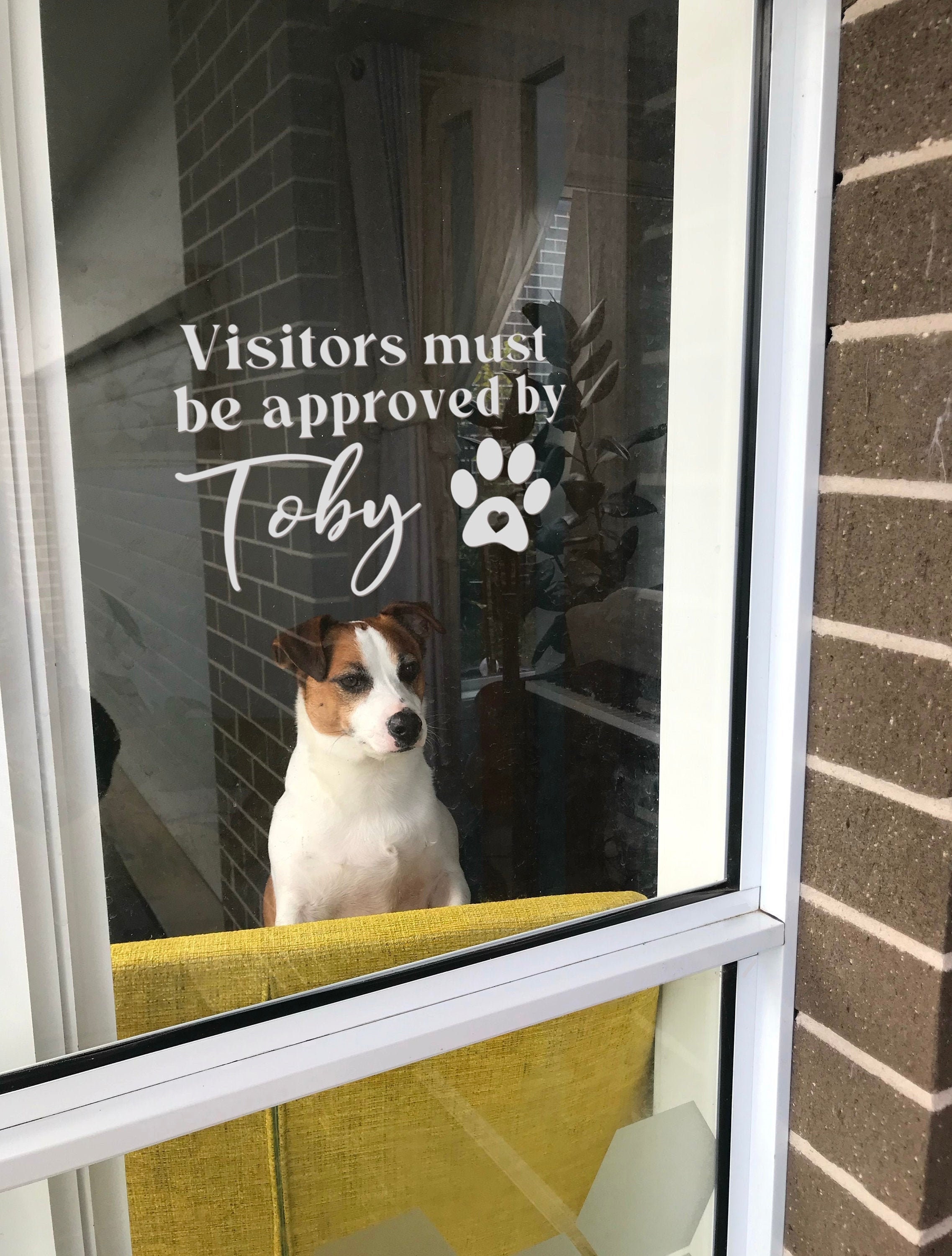 Custom Dog/pet Window Decal Name Sticker for Dogs Visitor - Etsy