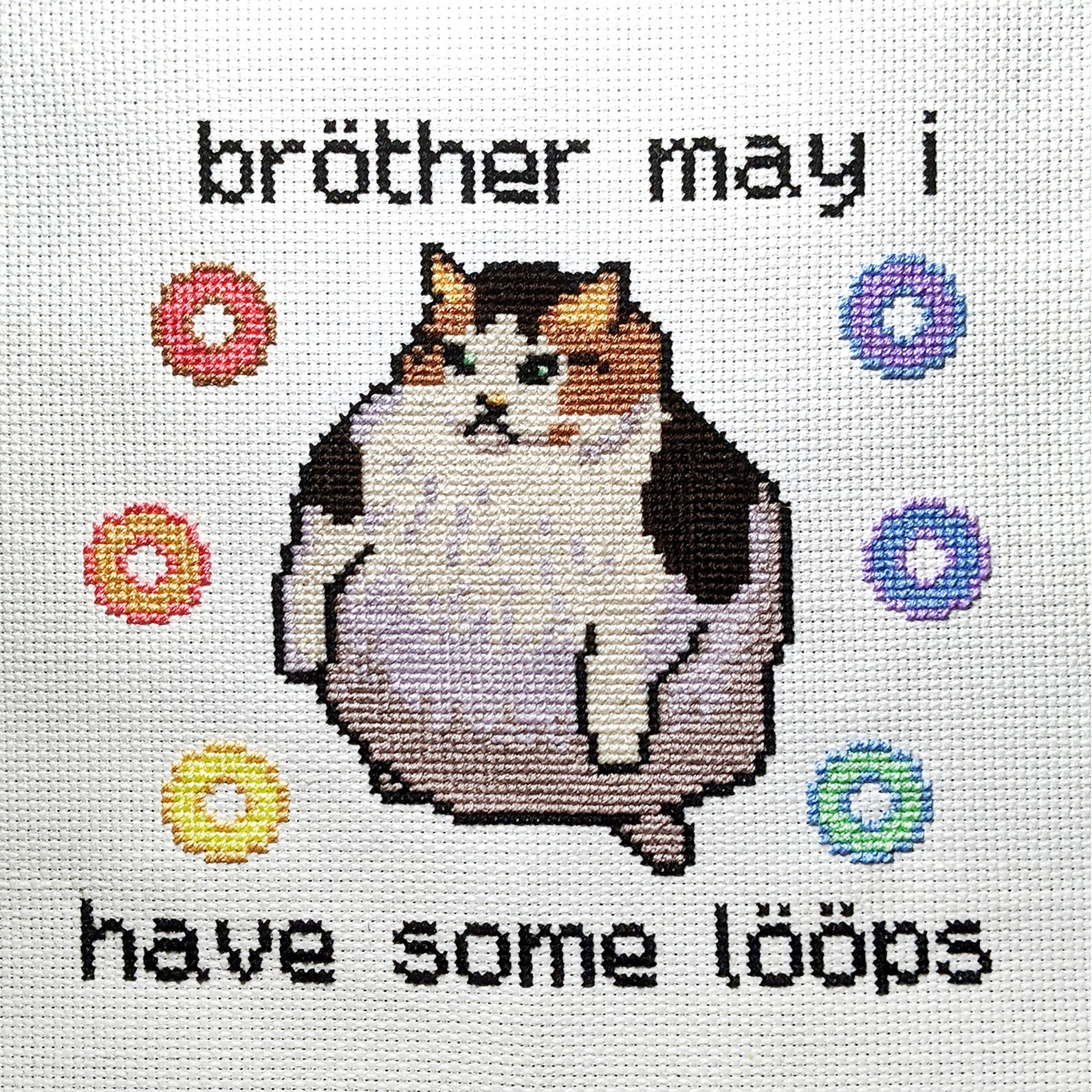 Brother May I Have Some Loops - Cat Meme - Funny, Modern, Subversive ...