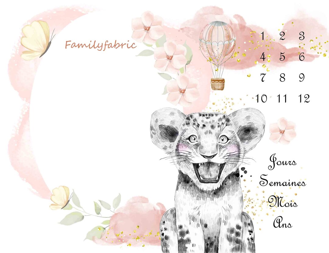 Zum Nähen eines Panels für die Fotomatte Heißluftballon Pink Tiger ...