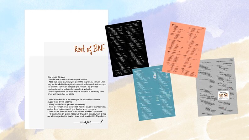 BNF Rest of the Chapters Summary Study Guide - Etsy